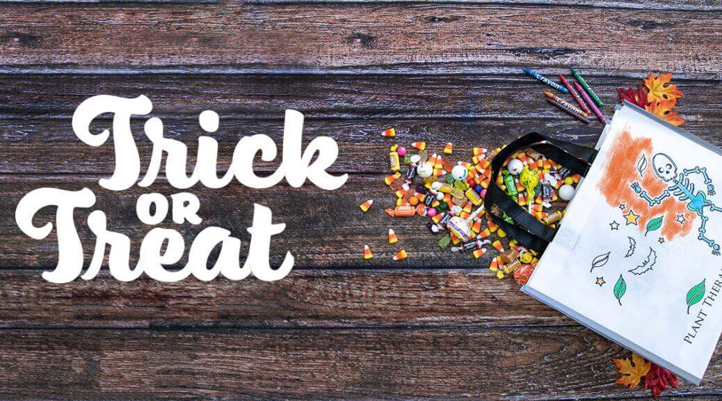 Top Tips for a Fun & Safe Night of Trick-or-Treating – Plant Therapy