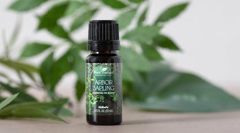 Step Into The Forest With Arbor Sapling Blend – Plant Therapy