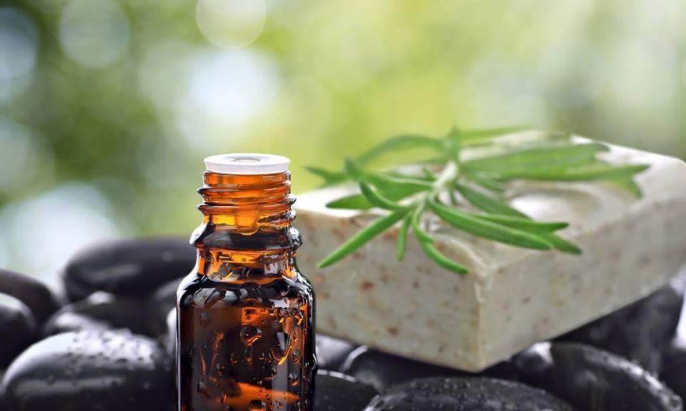 Spring Clean for the Spirit – Plant Therapy