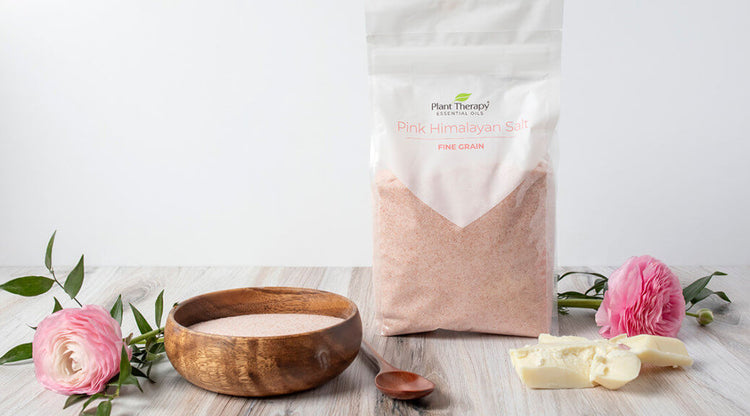 DIY Margarita Salt Scrub Bars – Plant Therapy