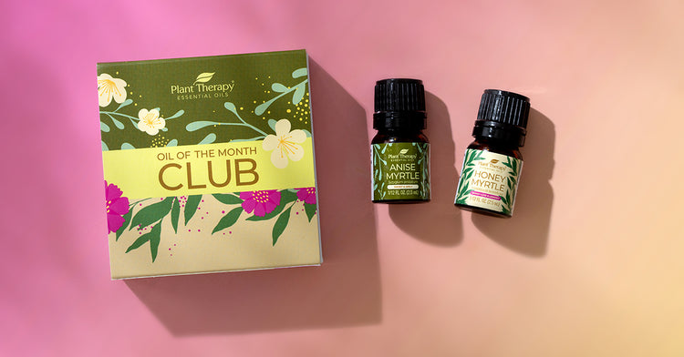 All About Honey Myrtle & Anise Myrtle – Plant Therapy