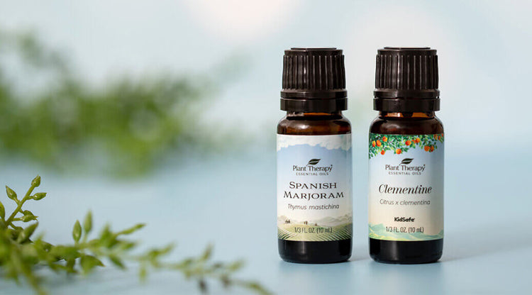 All About Spanish Marjoram & Clementine – Plant Therapy