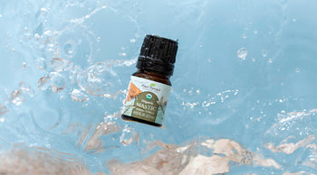 Introducing Organic Mastic Oil – Plant Therapy