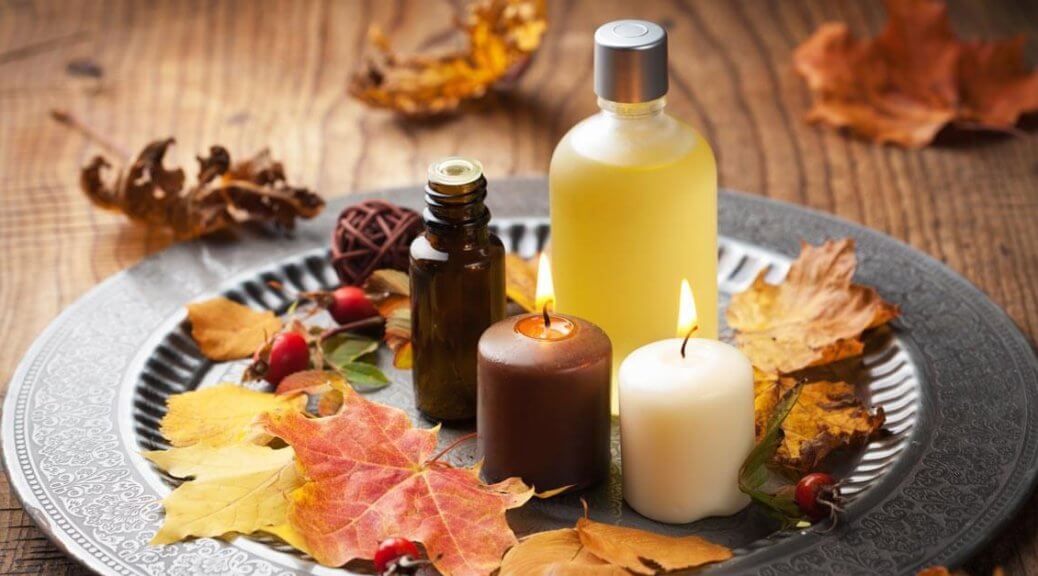 All the DIYs You Need to Get Ready for Fall – Plant Therapy