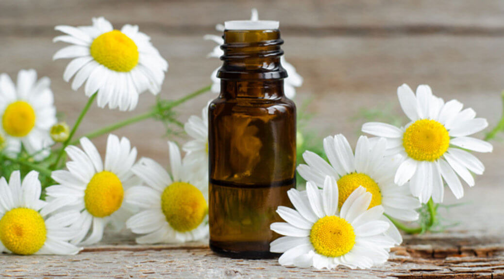 Get to Know Isolates – Plant Therapy