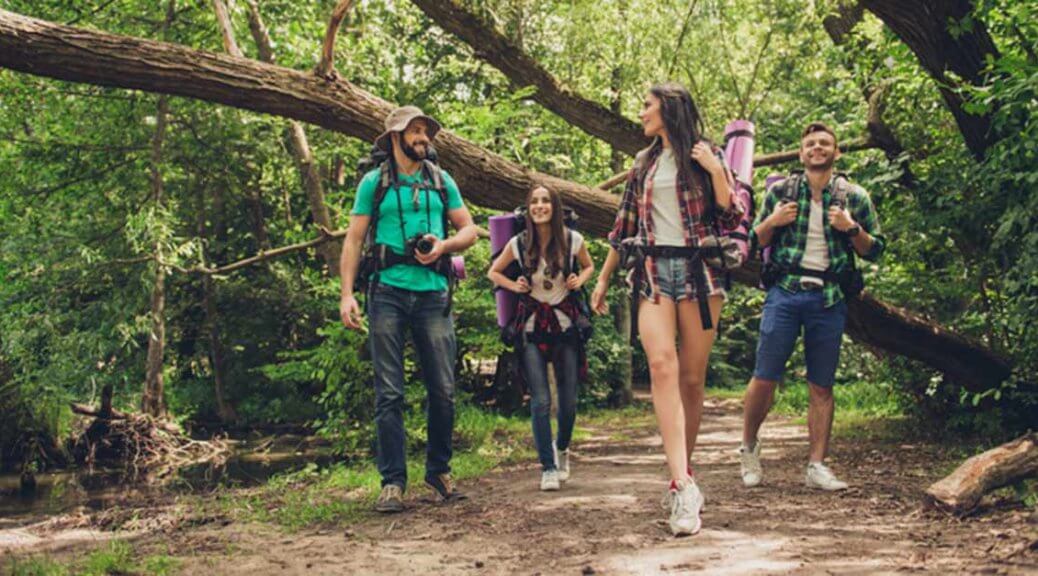 Top 12 Outdoor DIYs for Your Next Camping Trip – Plant Therapy