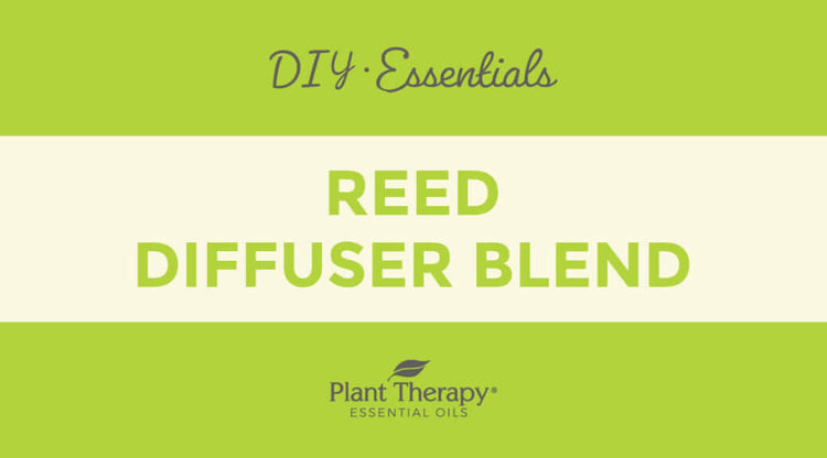 Essentials Video: Reed Diffuser Blend – Plant Therapy
