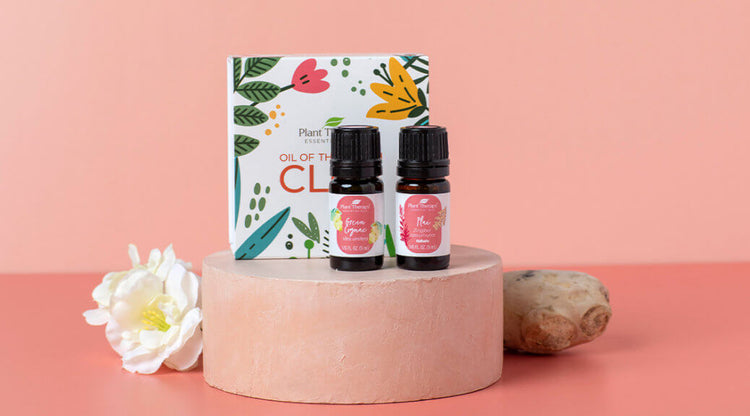 July Oil of the Month Reveal: Plai and Green Cognac – Plant Therapy