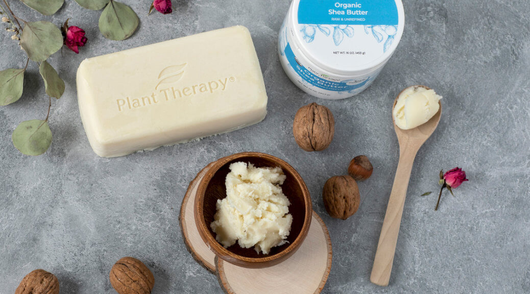 All About Shea Butter – Plant Therapy