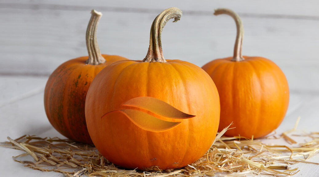 DIY Paper Pumpkins for National Pumpkin Day – Plant Therapy