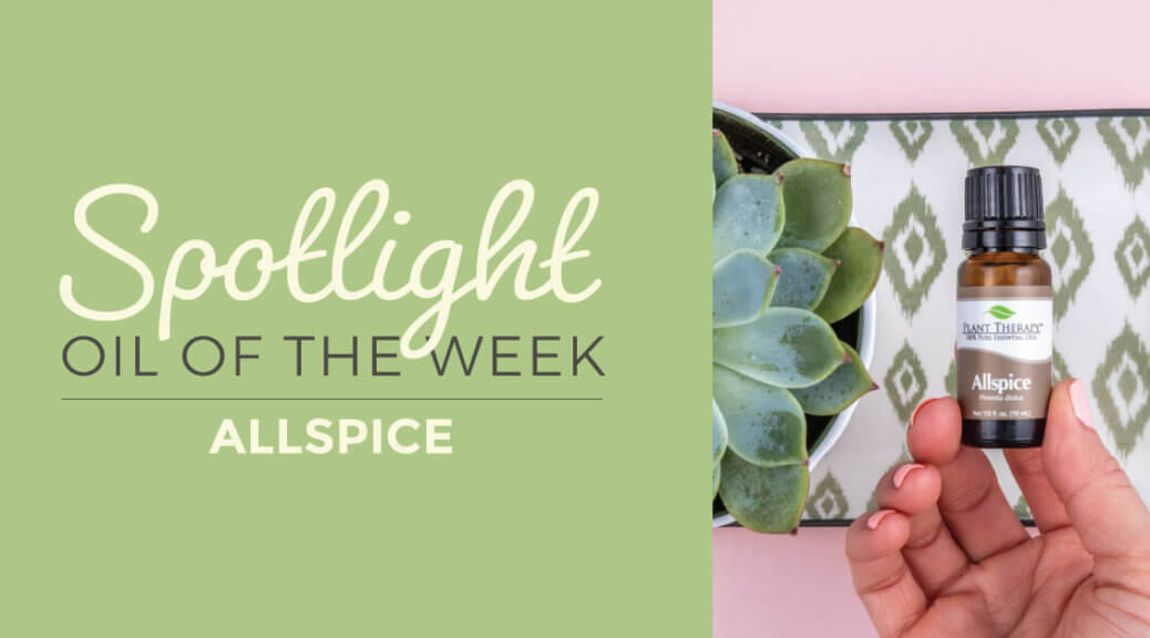 Allspice: Essential Oil Spotlight of the Week – Plant Therapy