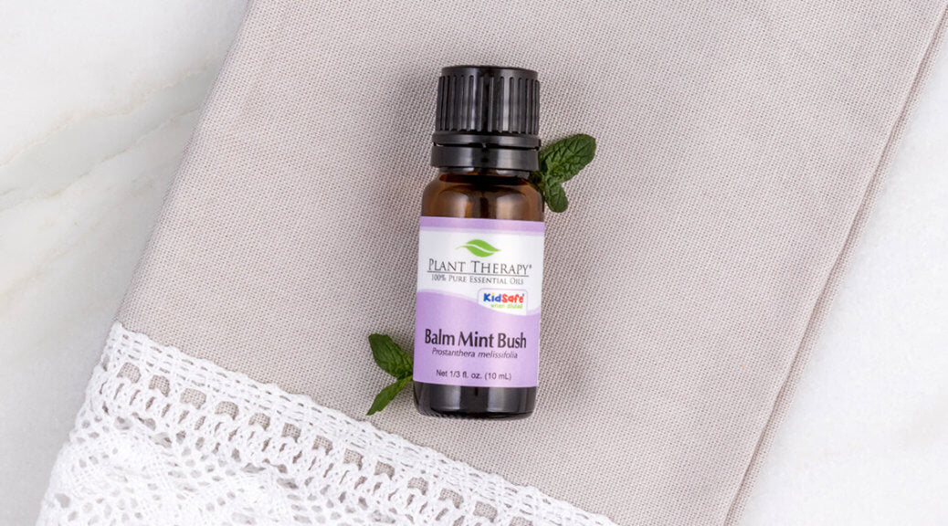 January Oil Of The Month: Balm Mint Bush – Plant Therapy