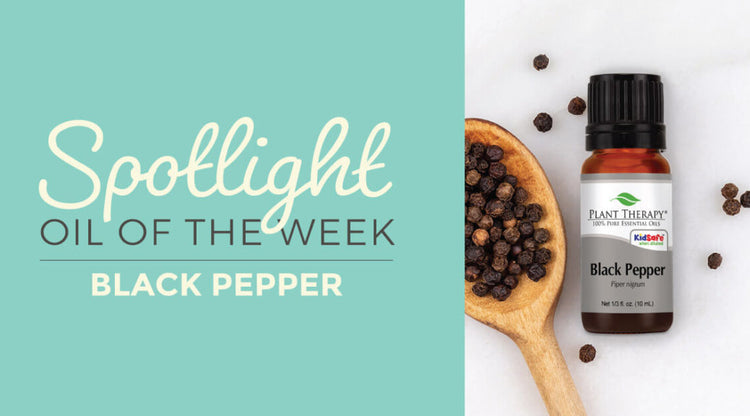 Black Pepper: Essential Oil Spotlight of the Week – Plant Therapy