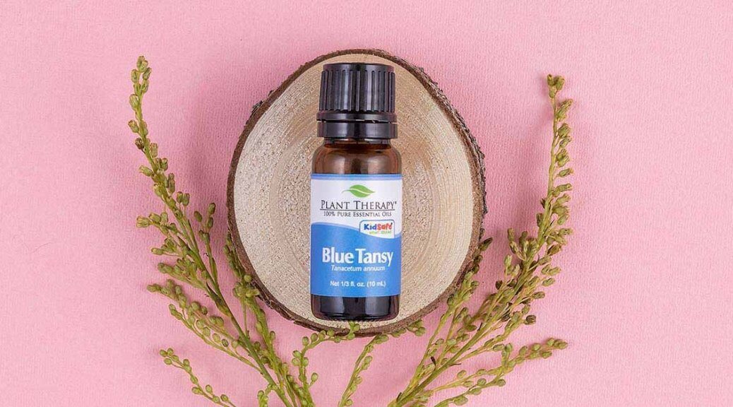 4 Ways to Use Blue Tansy – Plant Therapy
