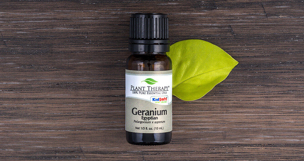 4 Ways to Use Geranium Egyptian – Plant Therapy