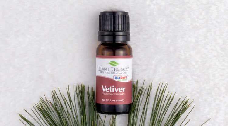 Our Top 4 Ways to use Vetiver Essential Oil – Plant Therapy