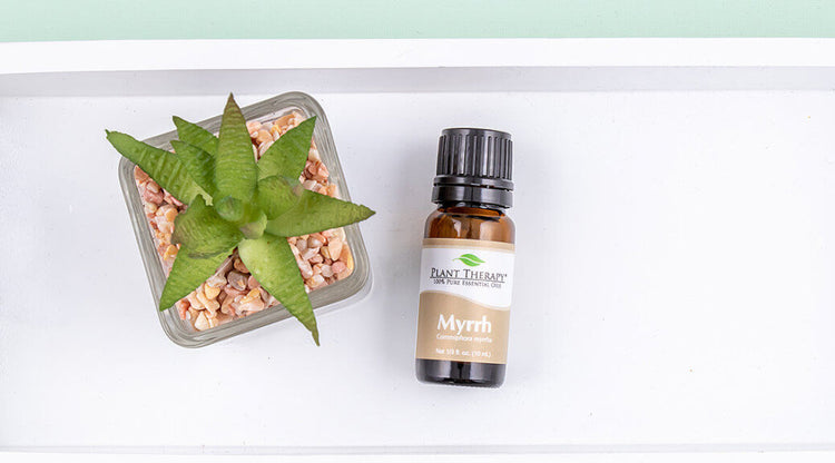Our Top 4 Ways to Use Myrrh – Plant Therapy