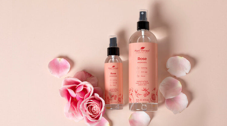 Hydrosols: Uses, Benefits and Why You Need Them – Plant Therapy