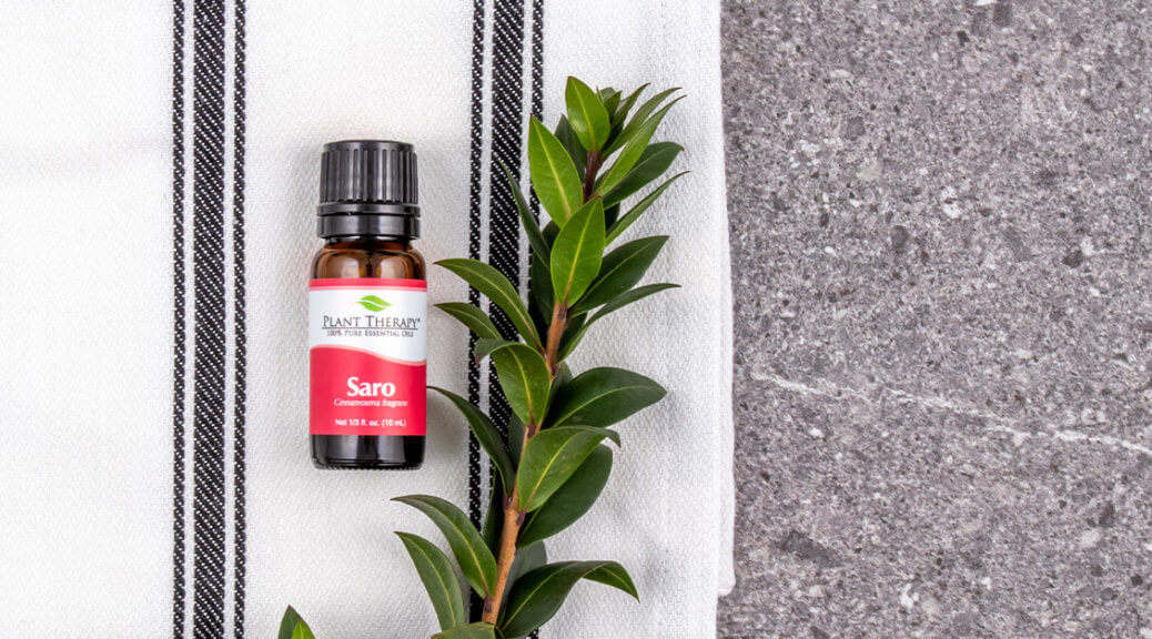 Benefits and Uses of Saro Essential Oil – Plant Therapy
