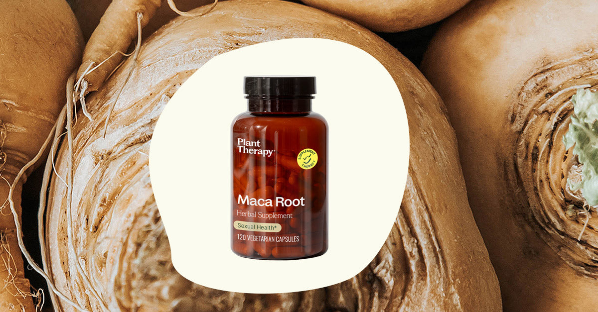 Unleash Your Vitality with Maca Root – Plant Therapy