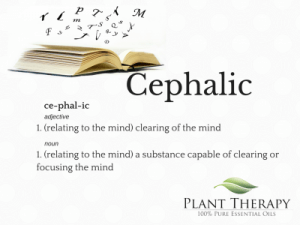 Word of the Week: Cephalic – Plant Therapy