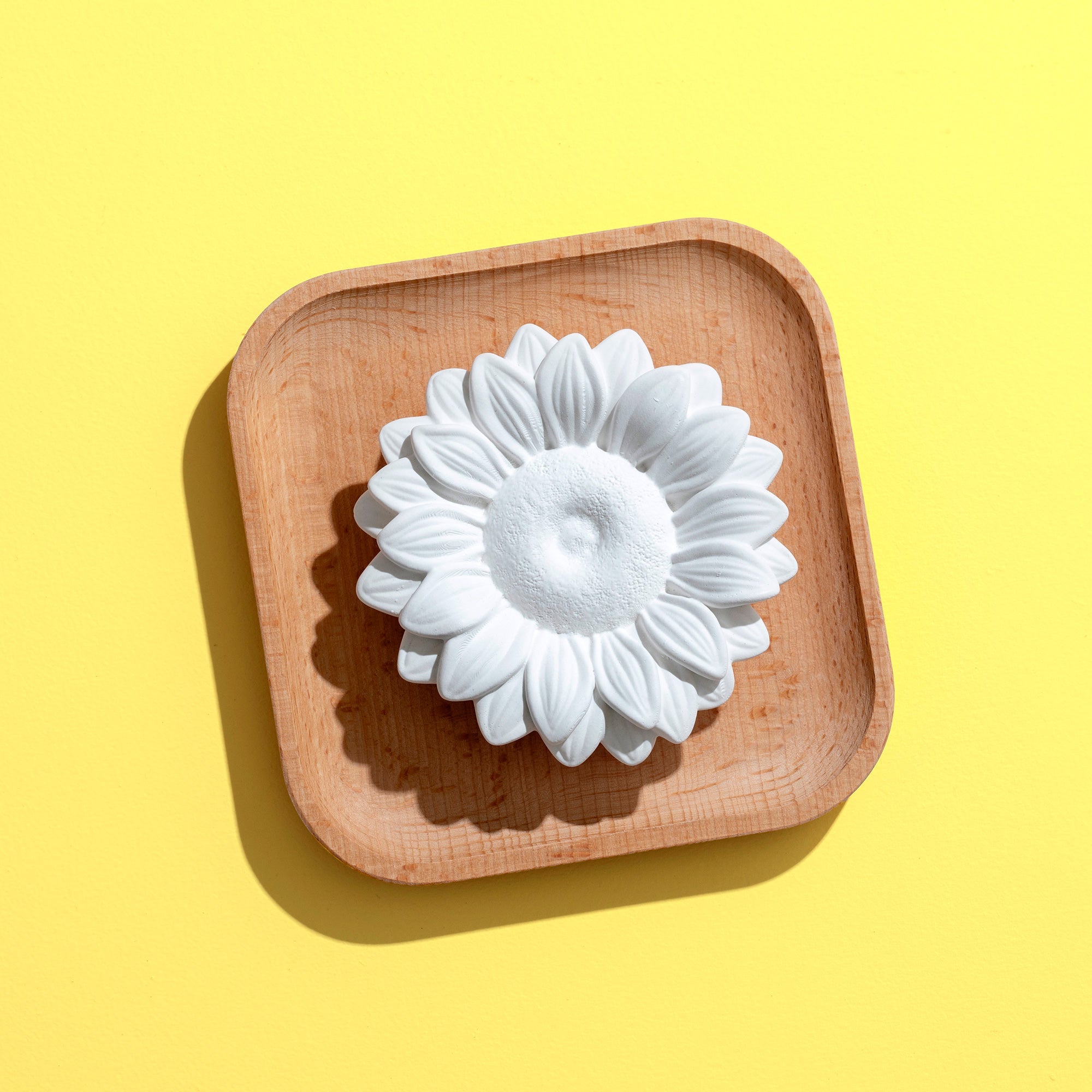 Plant Therapy Passive Diffusers - Natural Aromatherapy, Simply Diffused