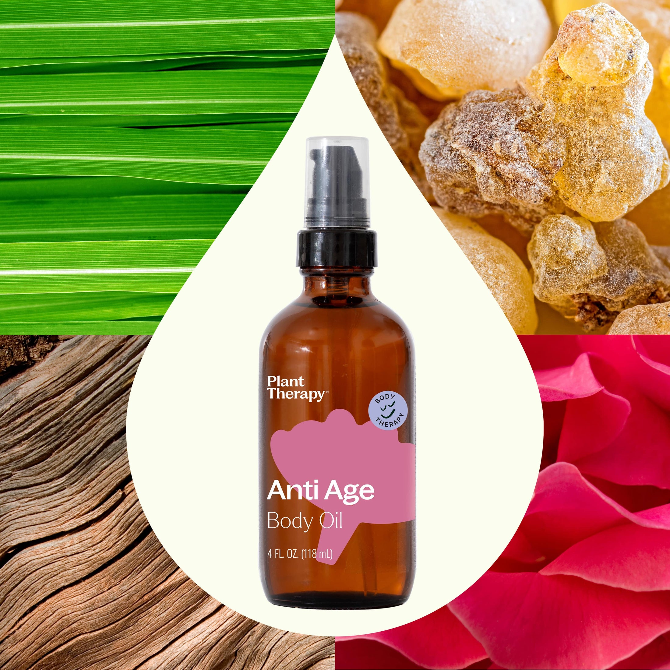 Anti Aging Body Oil | Hydrating & Nourishing Body Oil | Plant Therapy