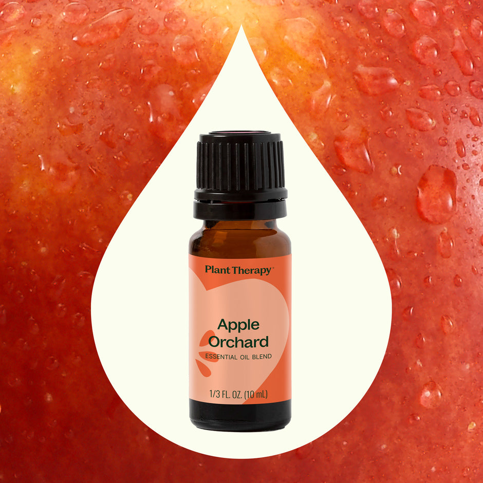 Plant-Based Beauty Products | Natural Living Solutions | Plant Therapy