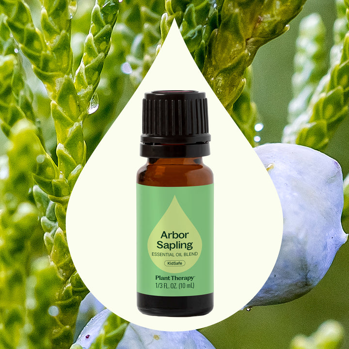 Fall Seasonal – Plant Therapy