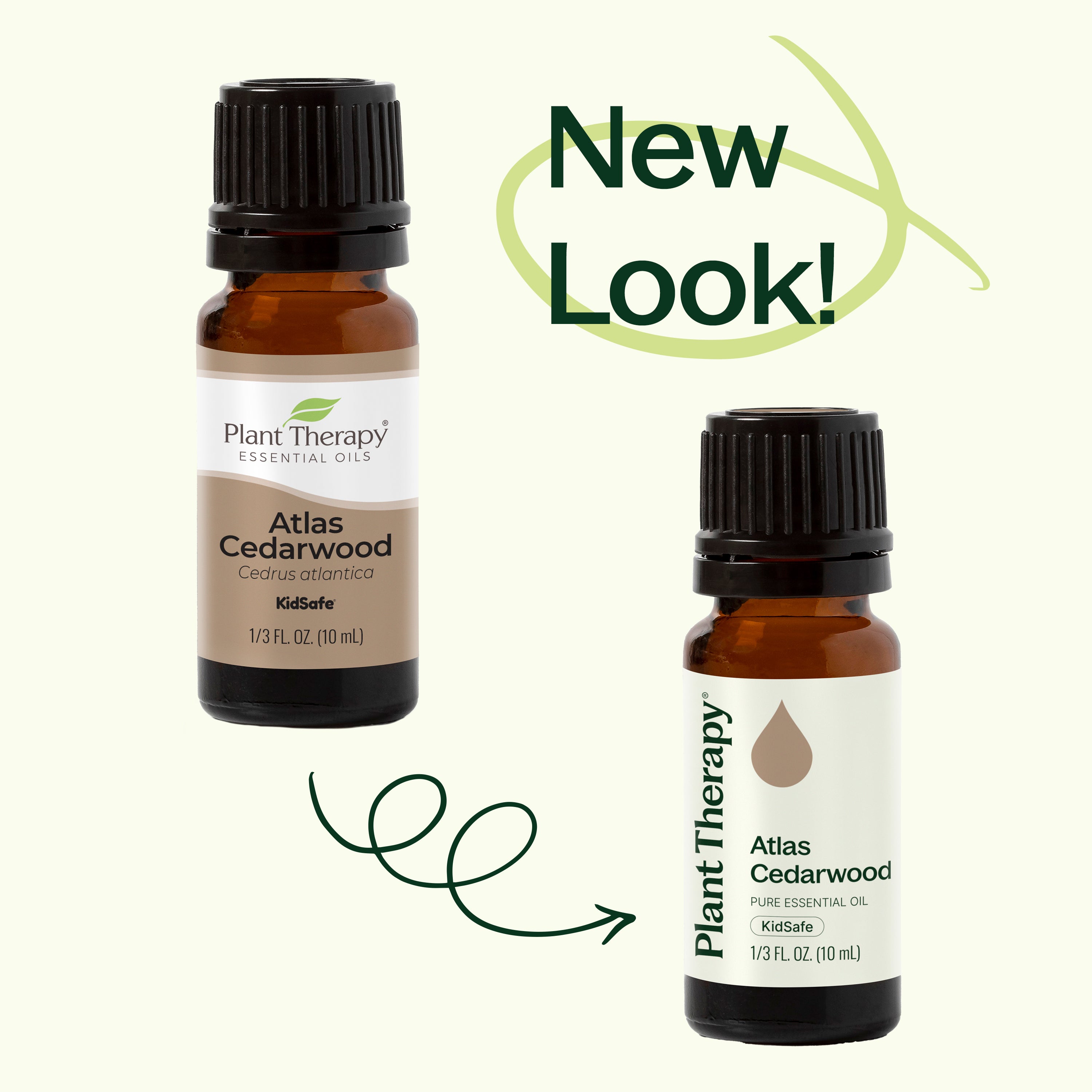 Atlas Cedarwood Essential Oil – Plant Therapy