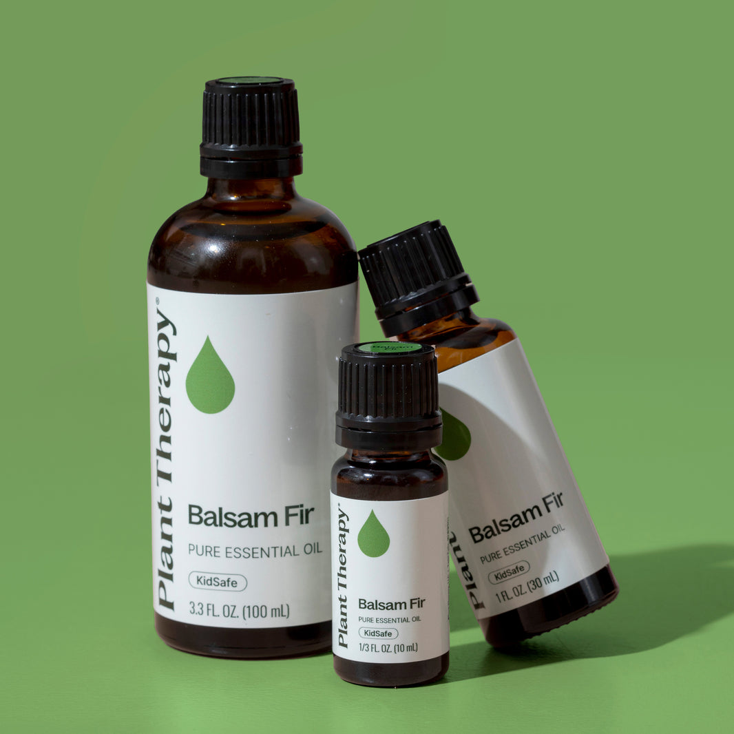 Balsam Fir Essential Oil | Balsam Fir Essential Oil Benefits | Plant ...