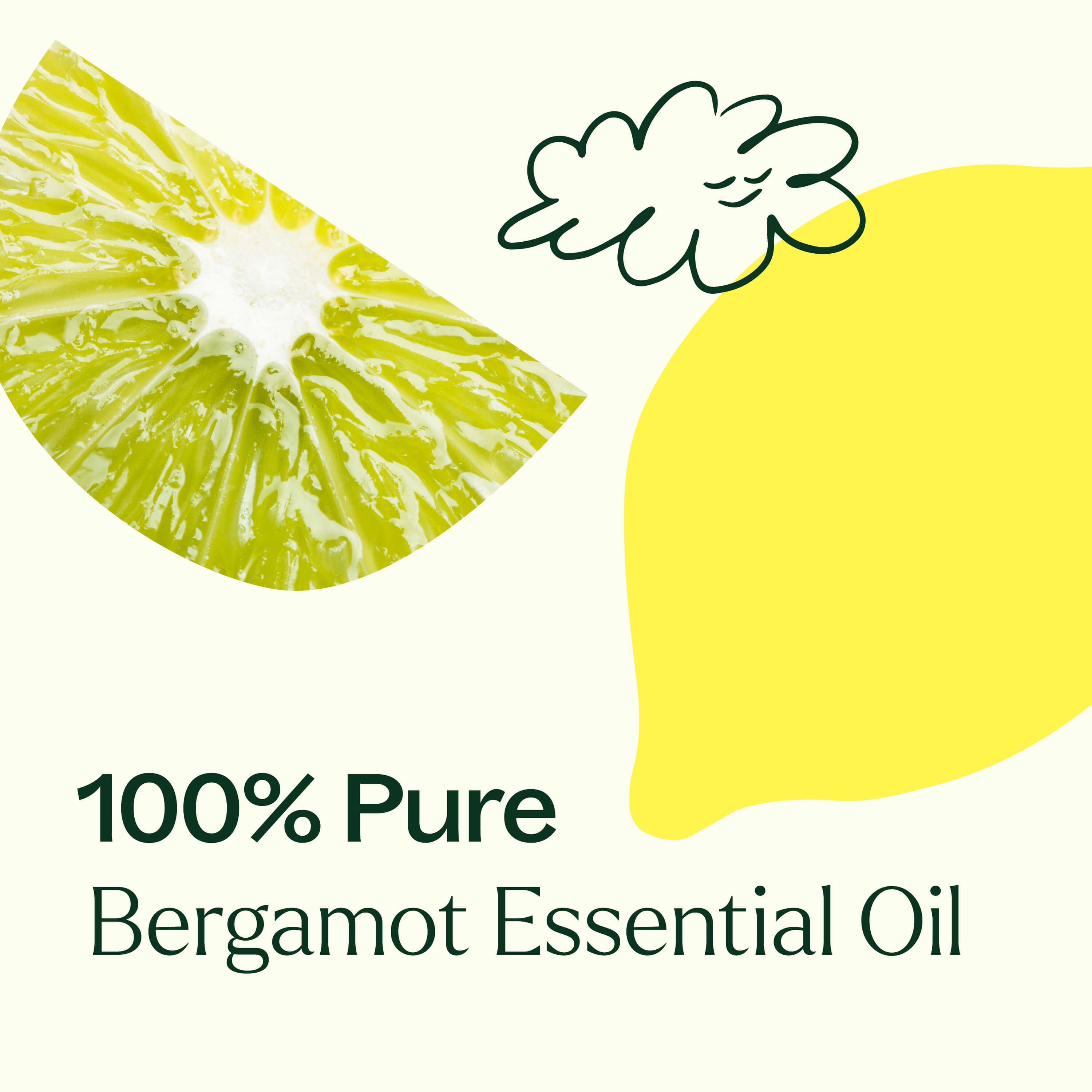 Bergamot Essential Oil | Mood Boosting Bergamot Oil | Plant Therapy