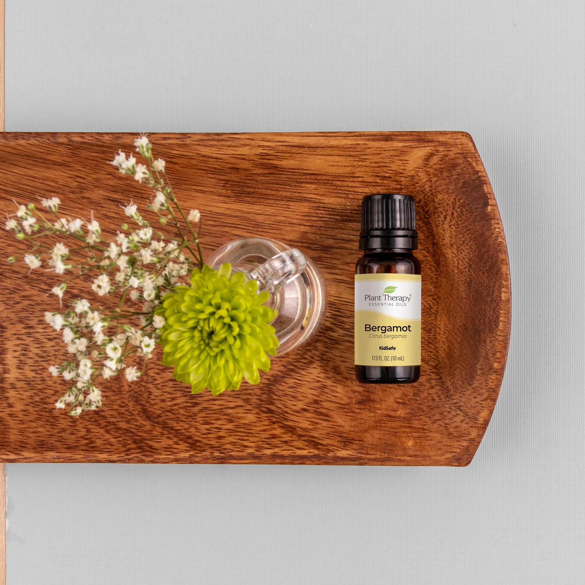 Essential Oils For Anxiety | Essential Oils For Stress Relief | Plant ...