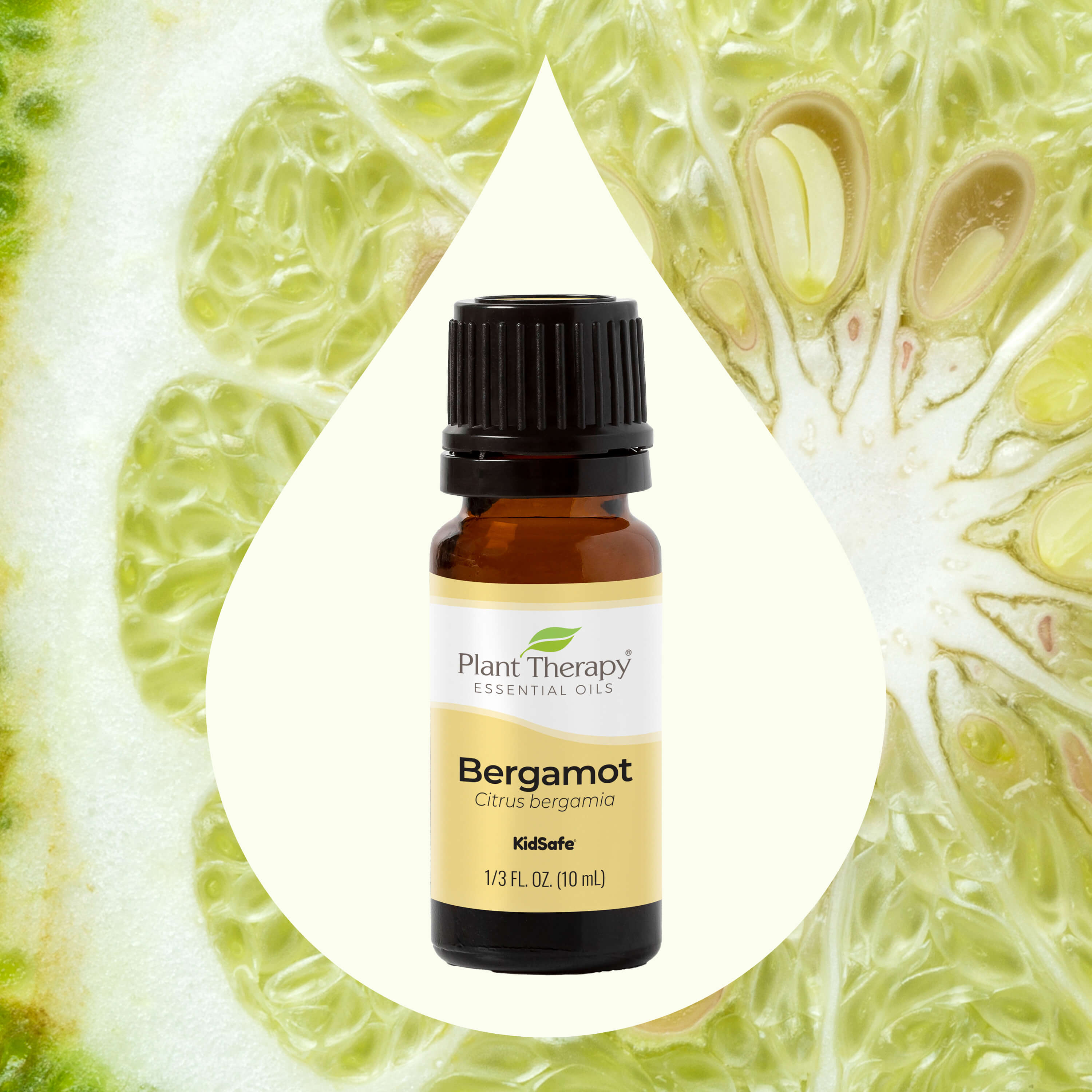 Bergamot Essential Oil | Mood Boosting Bergamot Oil | Plant Therapy
