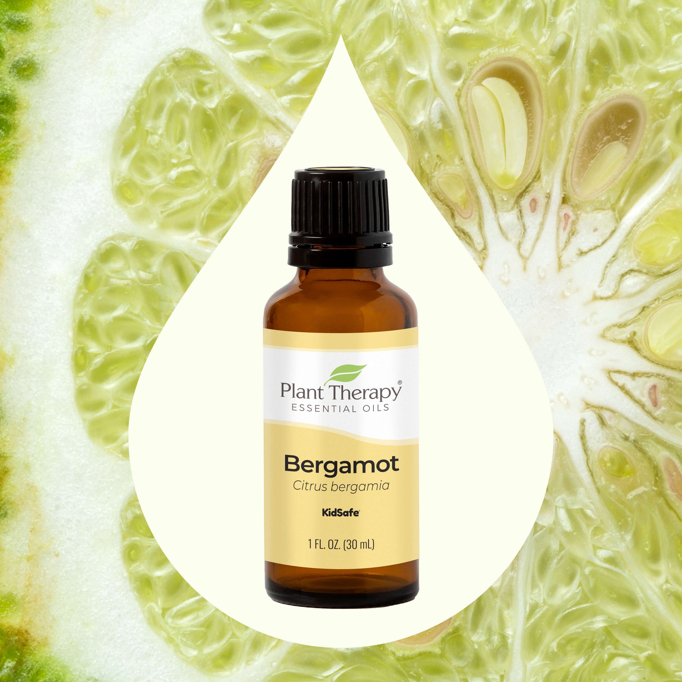 Bergamot Essential Oil | Mood Boosting Bergamot Oil | Plant Therapy