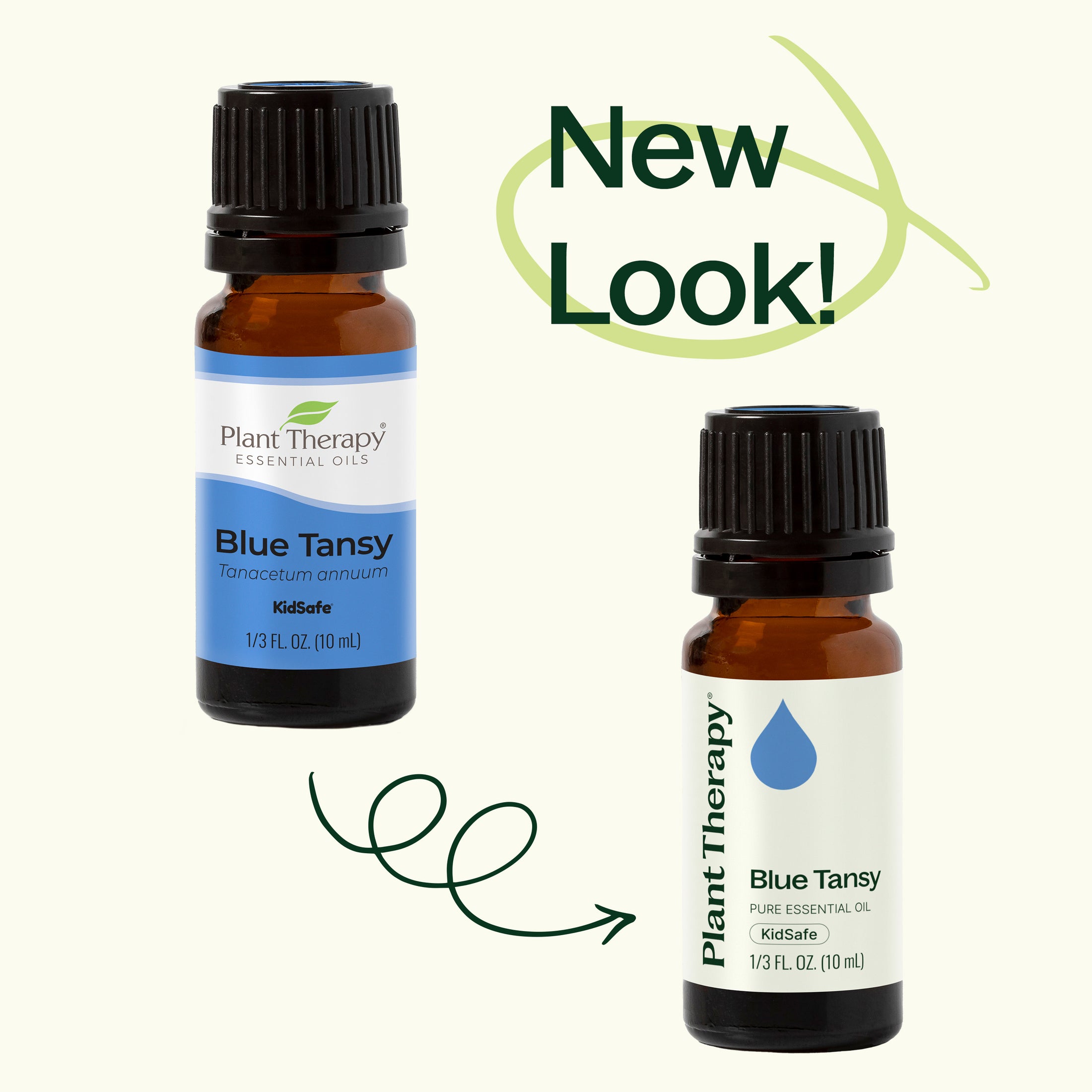 Blue Tansy Essential Oil – Plant Therapy