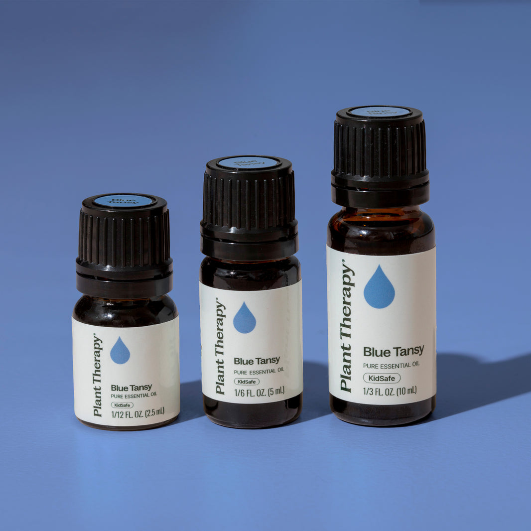 Blue Tansy Essential Oil – Plant Therapy