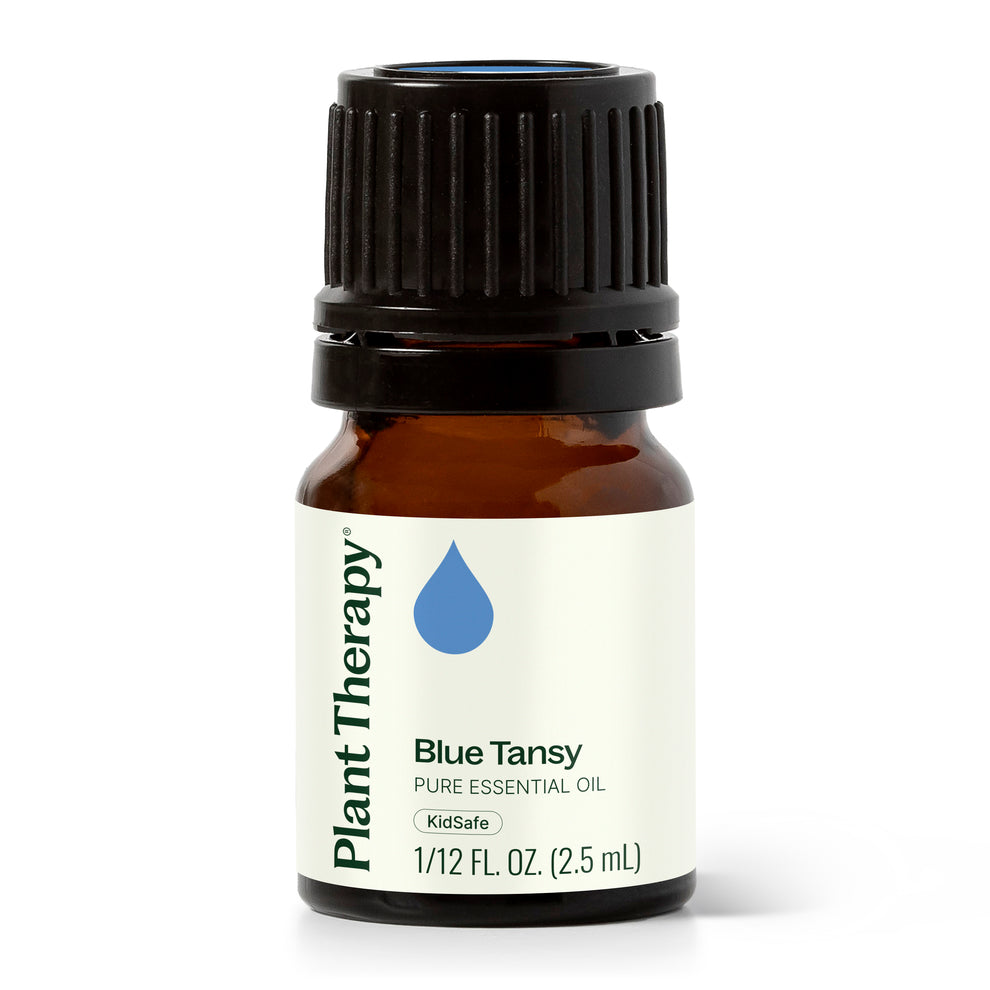 Blue Tansy Essential Oil – Plant Therapy