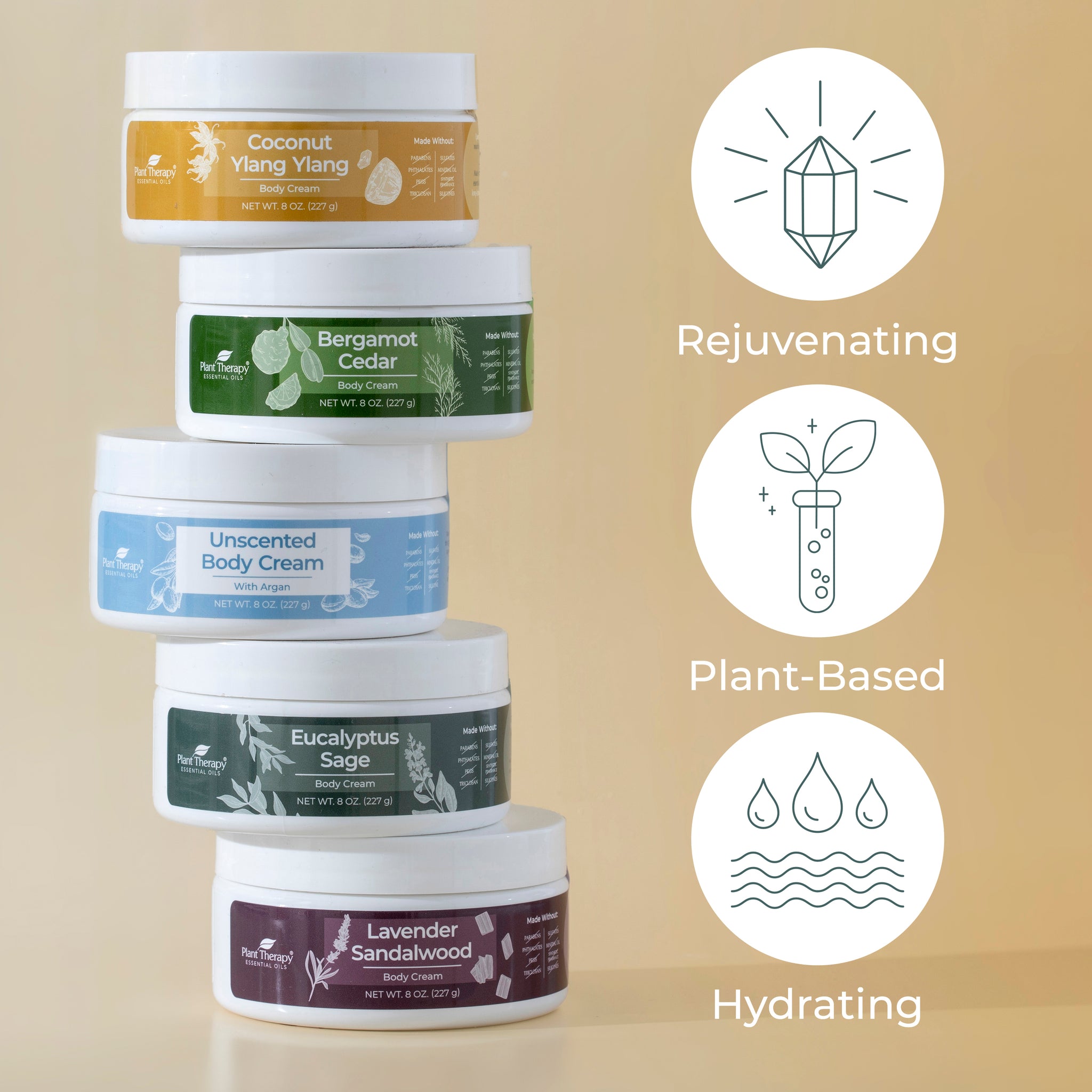 Unscented Body Cream with Argan – Plant Therapy