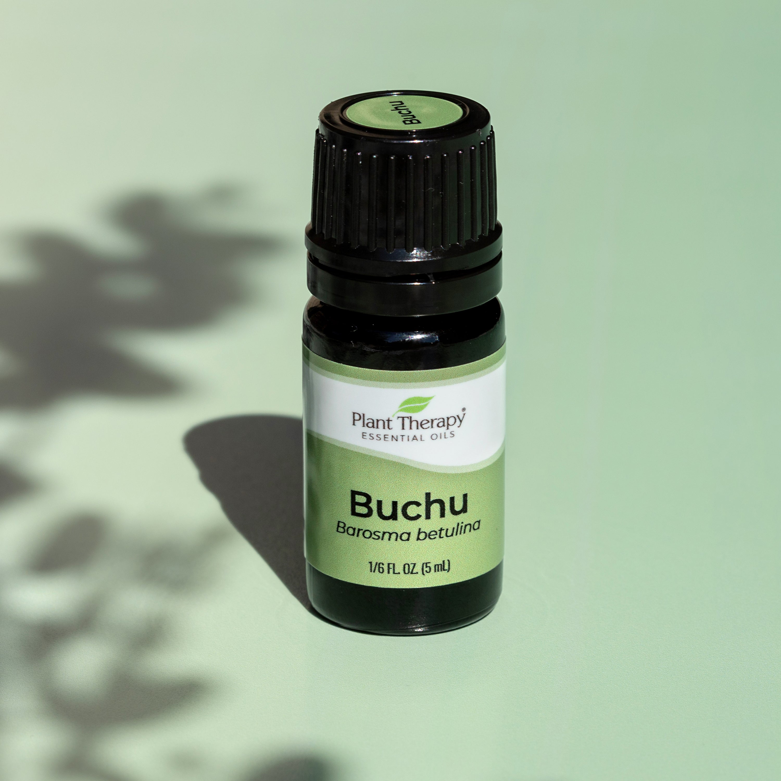 Buchu Essential Oil – Plant Therapy