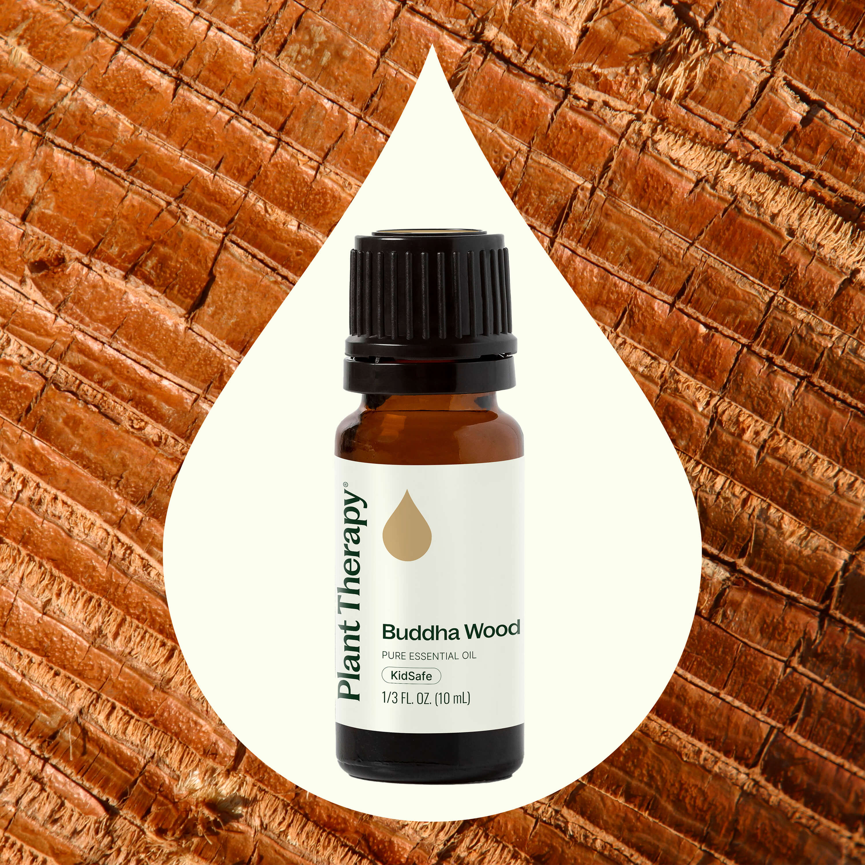 Buddha Wood Essential Oil – Plant Therapy
