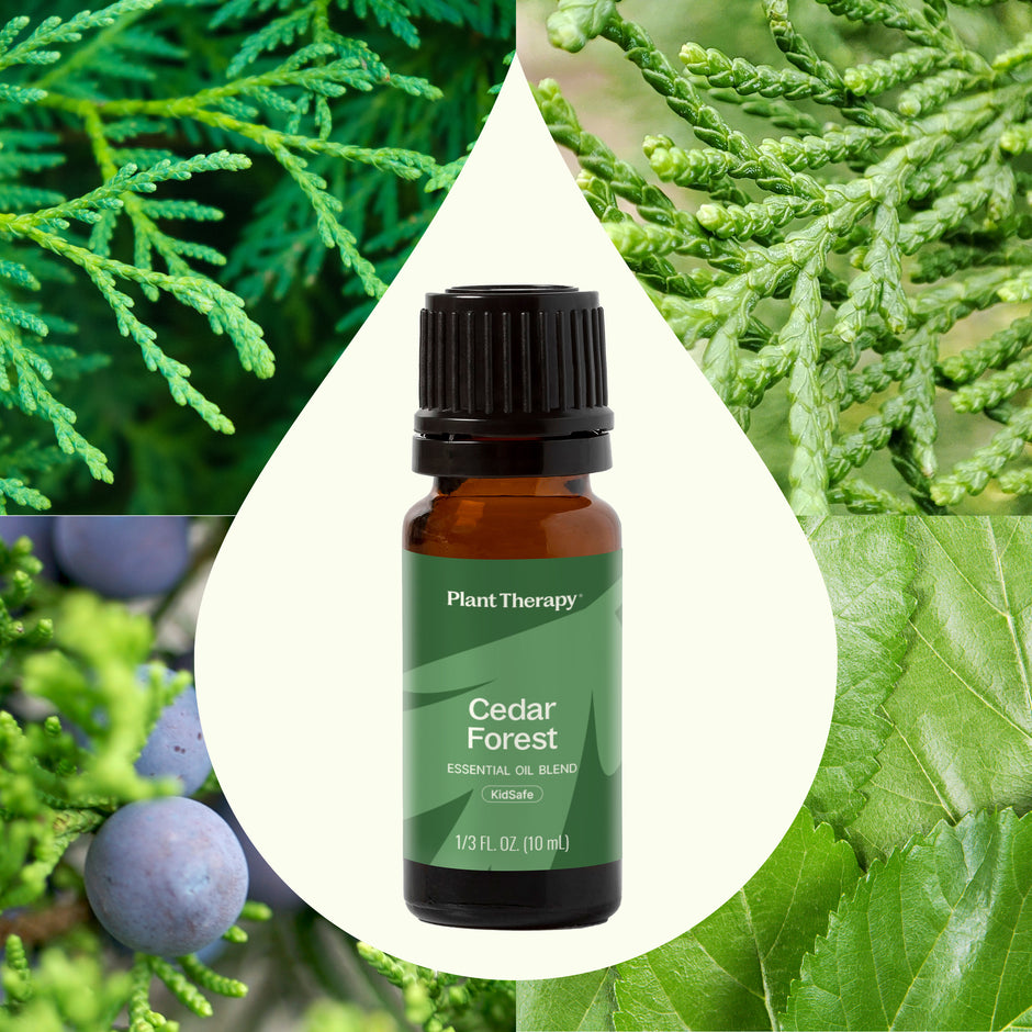 Fall Seasonal – Plant Therapy