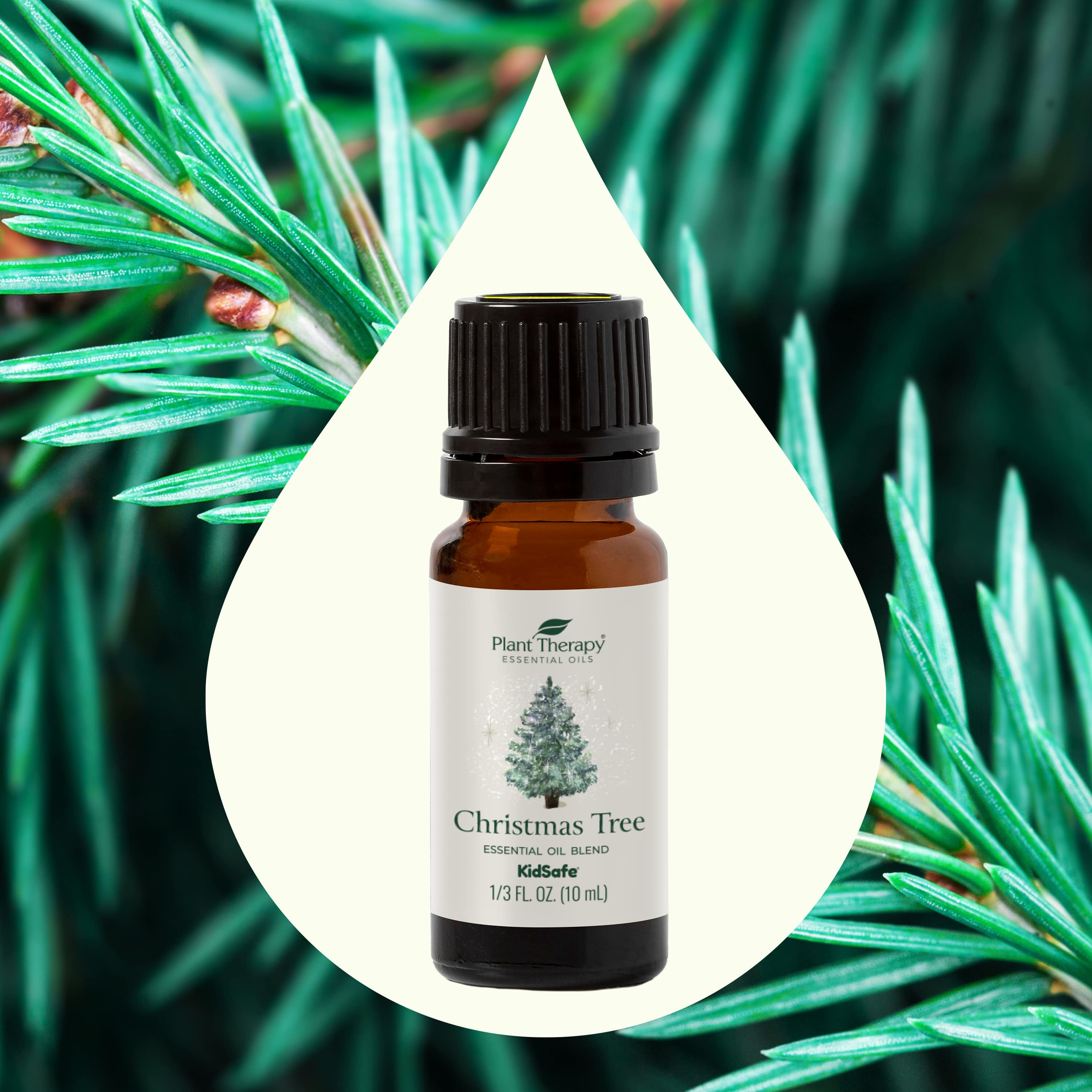 Christmas Tree Essential Oil Blend – Plant Therapy