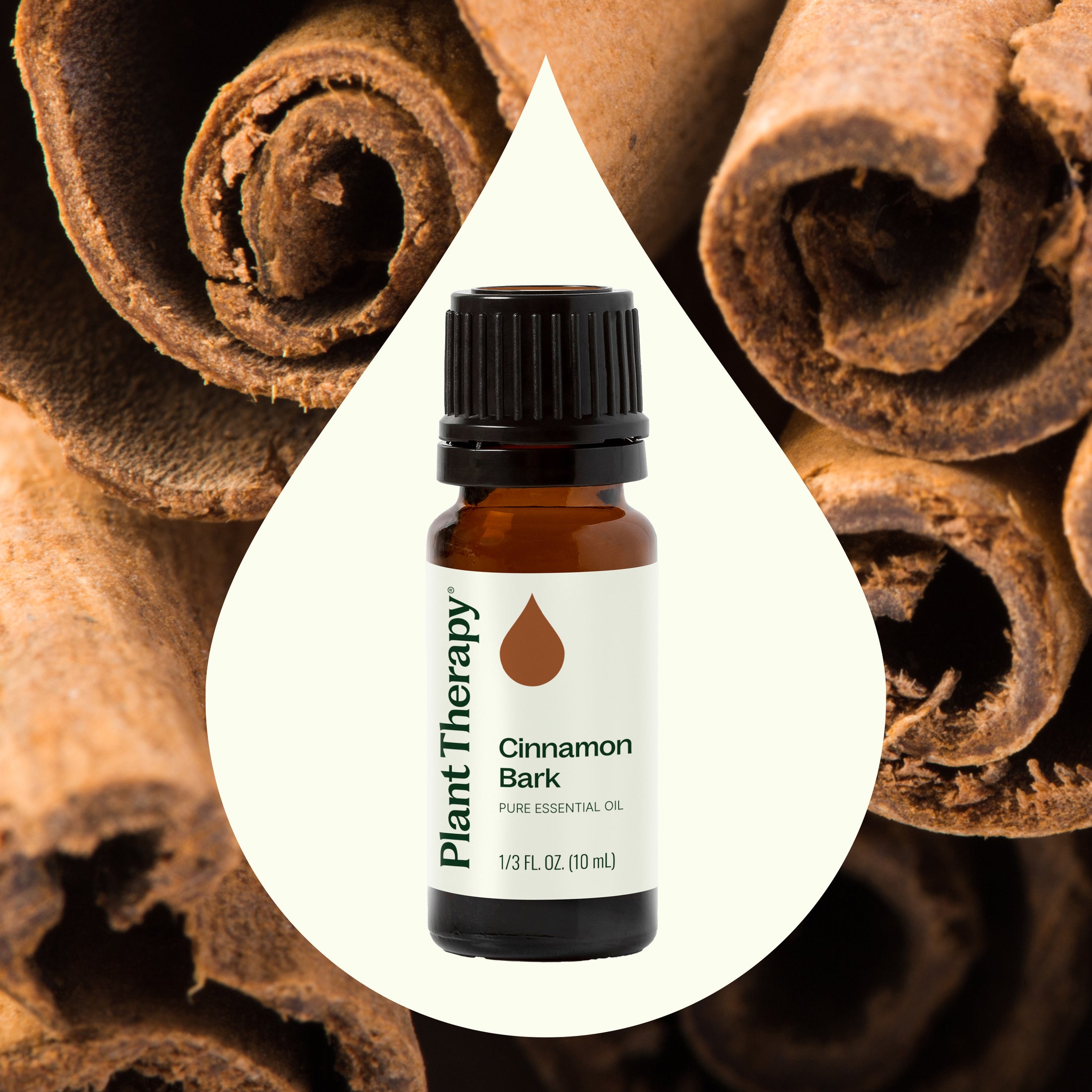 Cinnamon Bark Essential Oil | Premium Cinnamon Oil For Sale | Plant Therapy