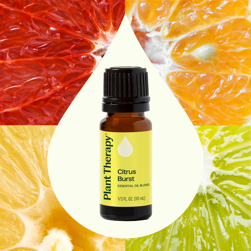 Citrus Burst Essential Oil Blend – Plant Therapy