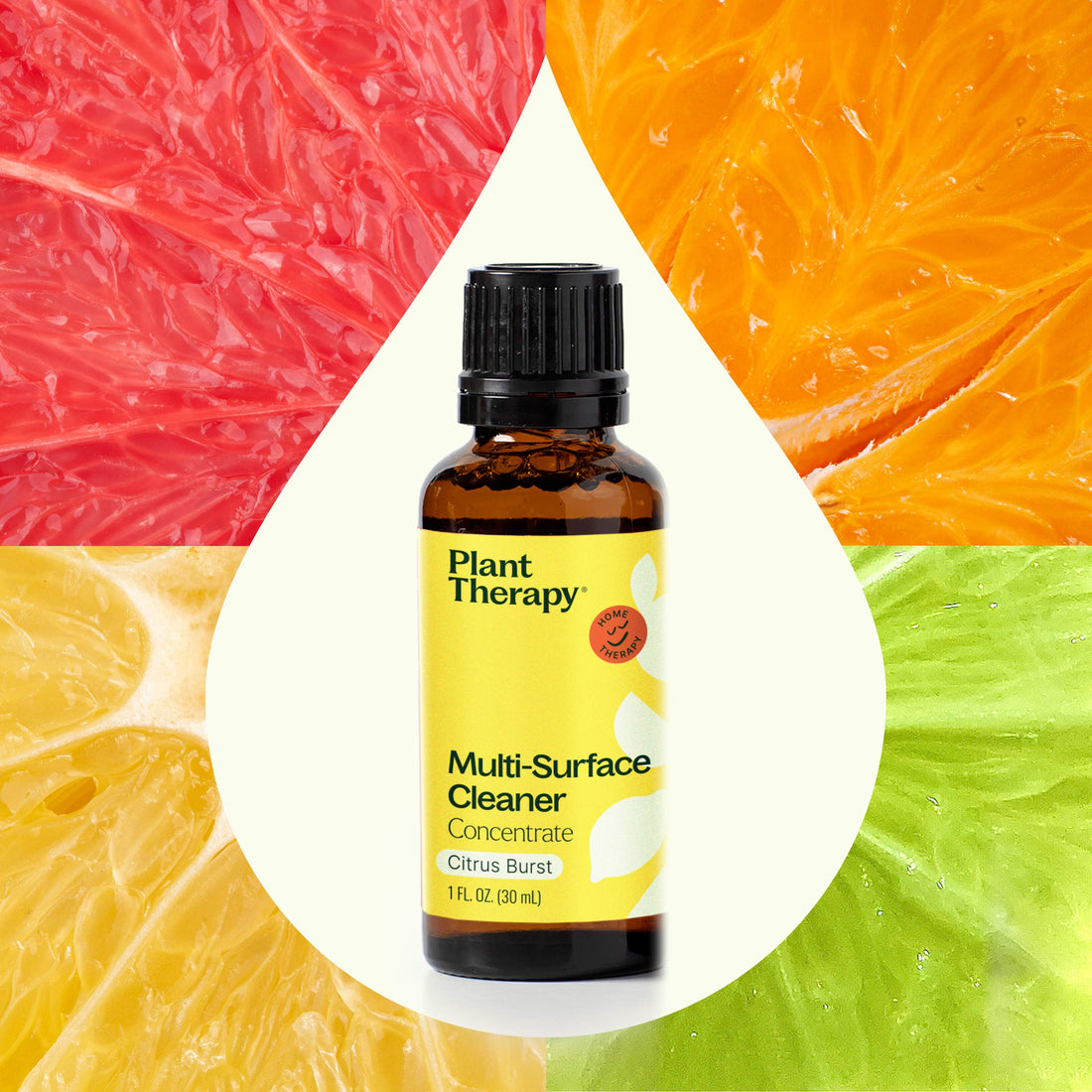 Citrus Burst Multi-Surface Cleaner 2-Pack – Plant Therapy