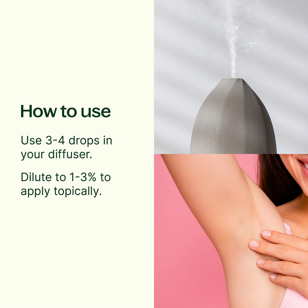 Deodorizing Trio – Plant Therapy