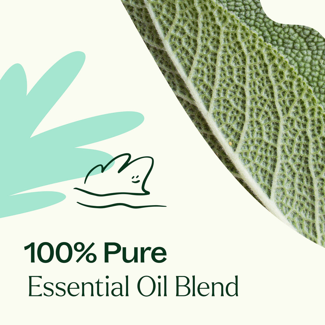 Desert Sage Essential Oil Blend – Plant Therapy