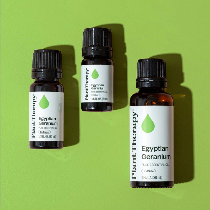 Egyptian Geranium Essential Oil – Plant Therapy