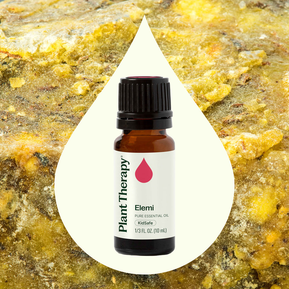 Elemi Essential Oil – Plant Therapy